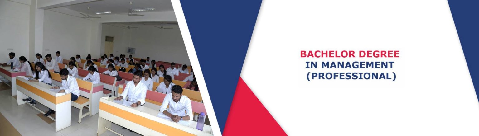 BBA Professional – School of Management, BBDU